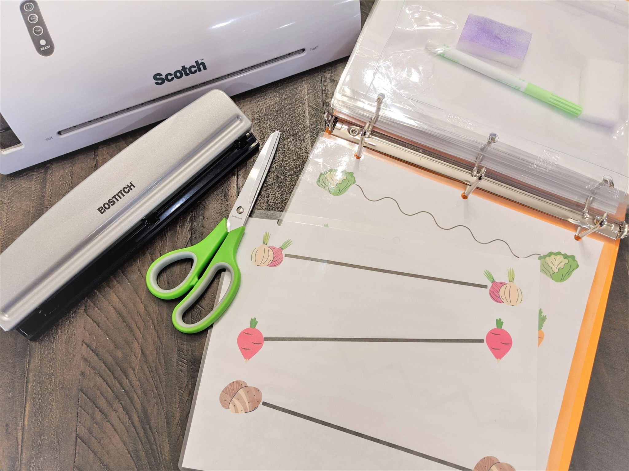 Toddler/Preschool Fall Busy Binder – Autumn Romano